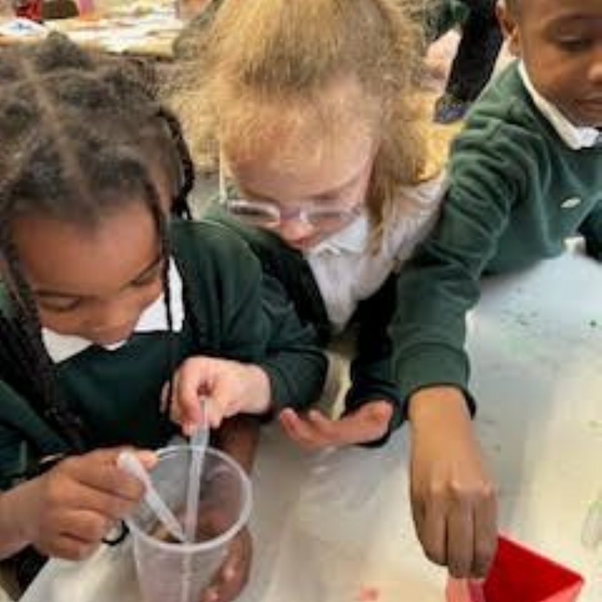 Widden Primary School - British Science Week